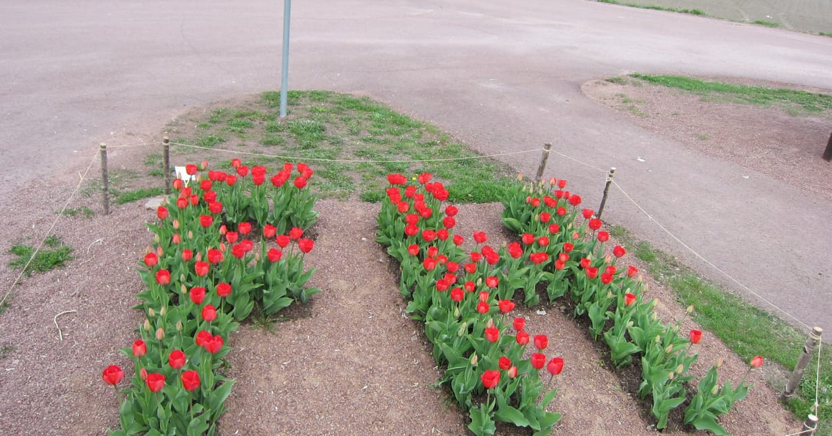 Folkhälsan i Lumparland